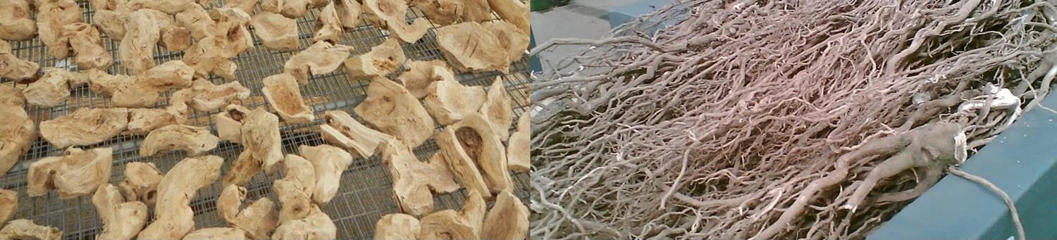 What Is Kava? - Kava Depot