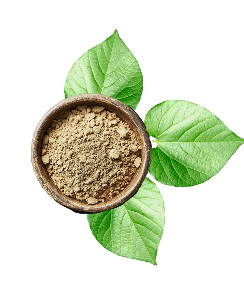 Kava Depot – Premium Noble Kava Powder & Wholesale Supplier